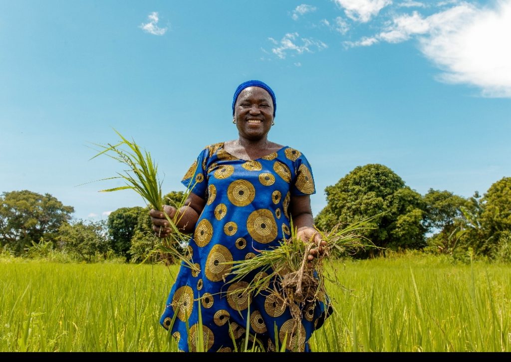 Nestlé, Africa Food Prize Team Up to Strengthen Food Security and ...