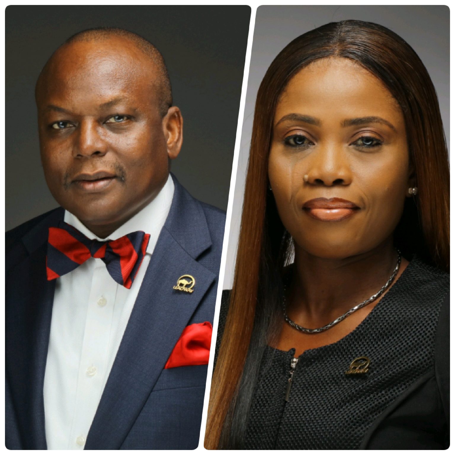 Leadway Assurance Appoints Lesi as Acting MD, Amanwa as Executive ...