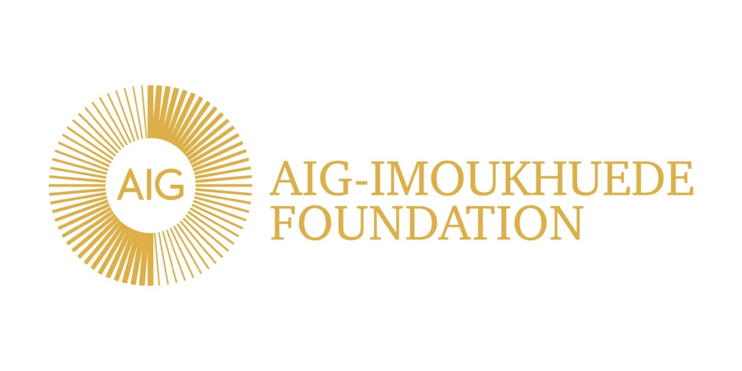 Aig-Imoukhuede Foundation Opens Application for AIG Public Leaders ...
